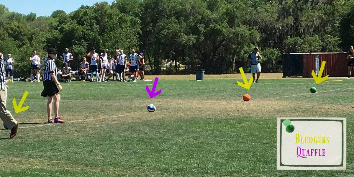 10 Things You Need to Know Before Heading to the Quidditch Pitch – A ...