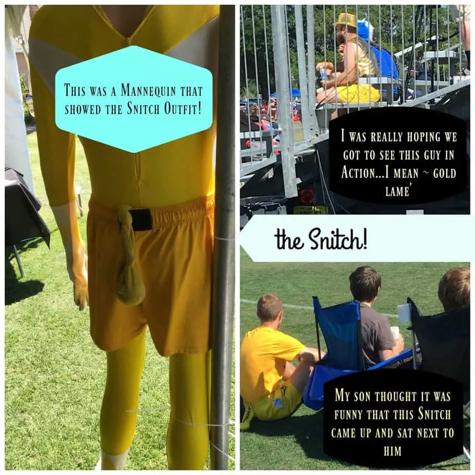 10 Things You Need to Know Before Heading to the Quidditch Pitch – A ...