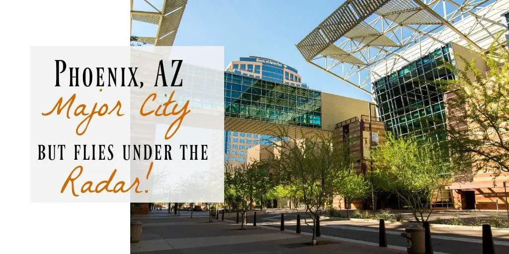 Living in Phoenix ~ Unexpected and Beautiful All Year – A Book Lover's ...