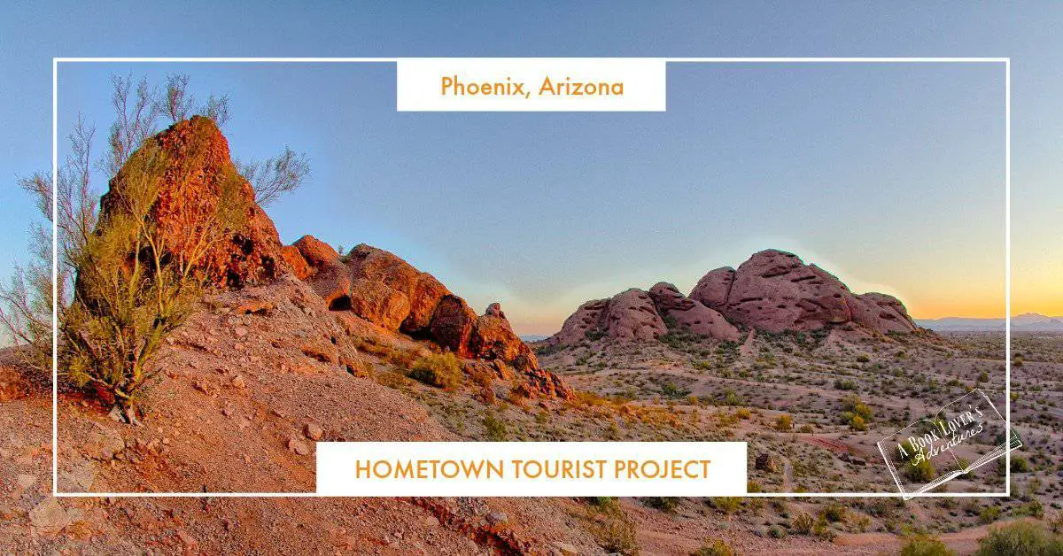 Living in Phoenix ~ Unexpected and Beautiful All Year – A Book Lover's ...