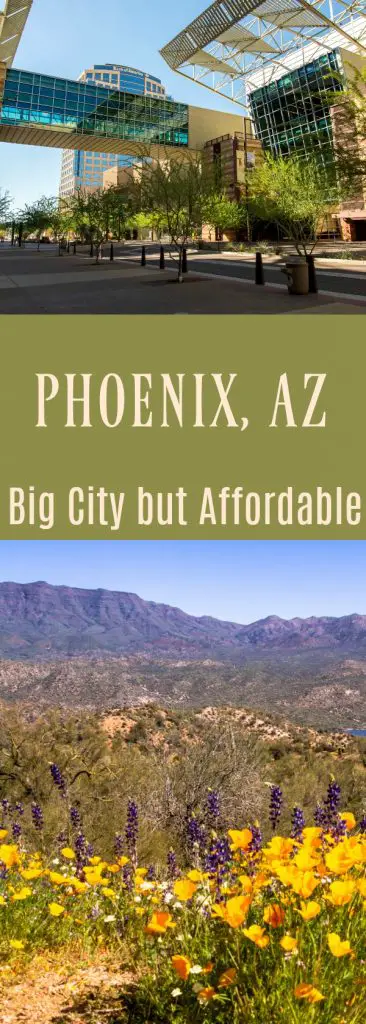 Living in Phoenix ~ Unexpected and Beautiful All Year – A Book Lover's ...