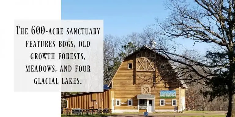 Spooner, WI ~ 10+ Reasons You Need to Visit This Unique Town – A Book ...